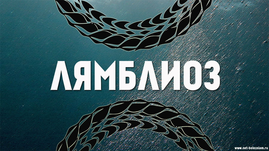 Что такое лямблиоз: симптомы, источники заражения и лечение — Net ...
